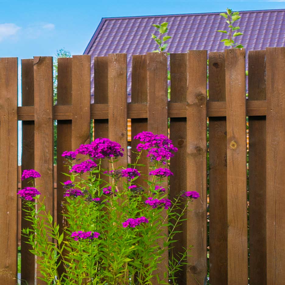 Flat Picket Pale Fencing - Mick George