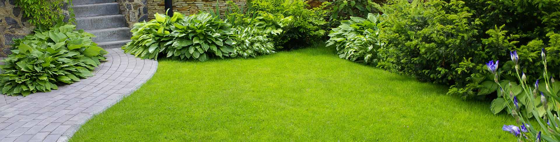 What is the best time of year to lay Turf? - Mick George