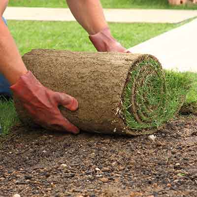 How To Lay Turf - Turf Online - Mick George
