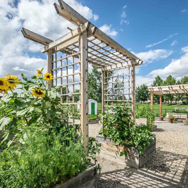 Square Lattice Trellis - Heavy Duty - Mick George