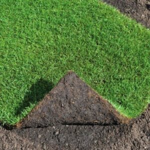 Lawn Turf - The Mick George Group