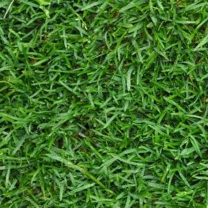Premium Lawn Turf - The Mick George Group