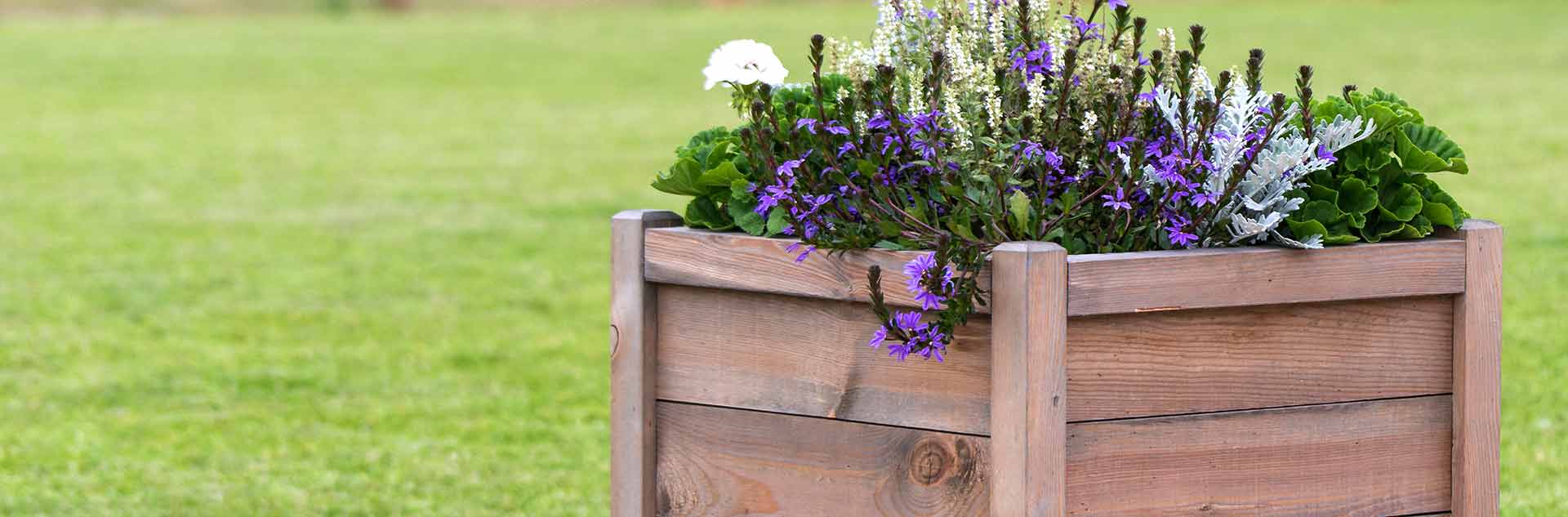 How to use Garden Planters - The Mick George Group