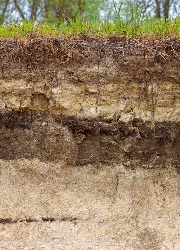 Trial Pit & Boreholes - Mick George - Bulk Earthworks