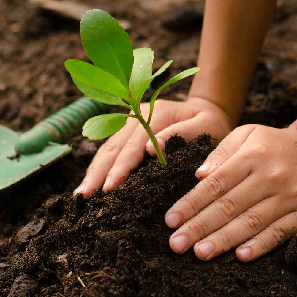 Compost Delivery - Aggregates - Mick George