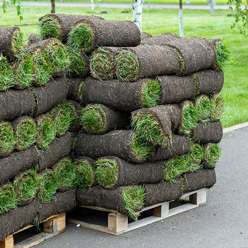 Garden Turf in Ely - Landscaping - Mick George