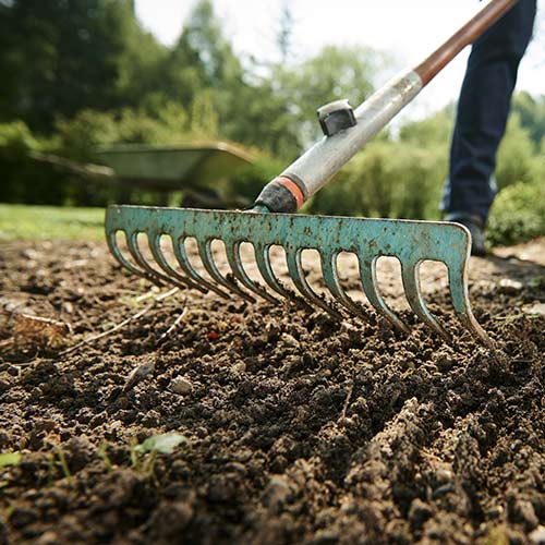 Turf Rolls in Loughborough - Landscaping - Mick George