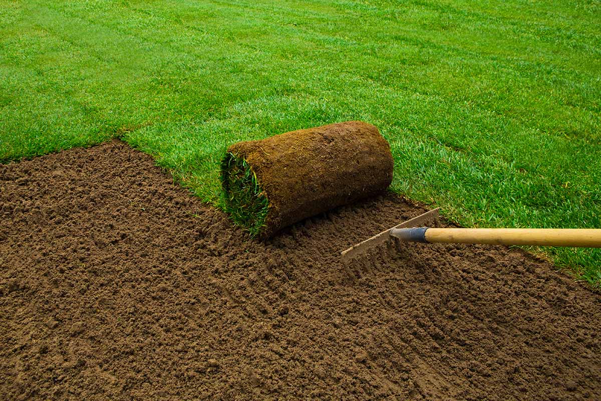 How To Lay Turf - Turf Online - Mick George