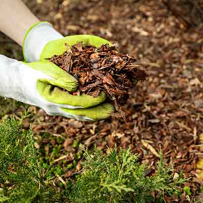Topsoil in King's Lynn - Aggregates - Mick George