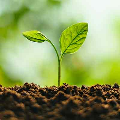 Topsoil in King's Lynn - Aggregates - Mick George