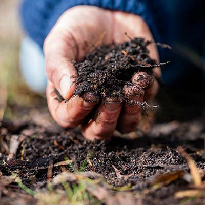 Compost in Northampton - Bulk Bags - Mick George