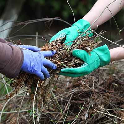 Garden Waste Disposal - Quick Collection - Mick George
