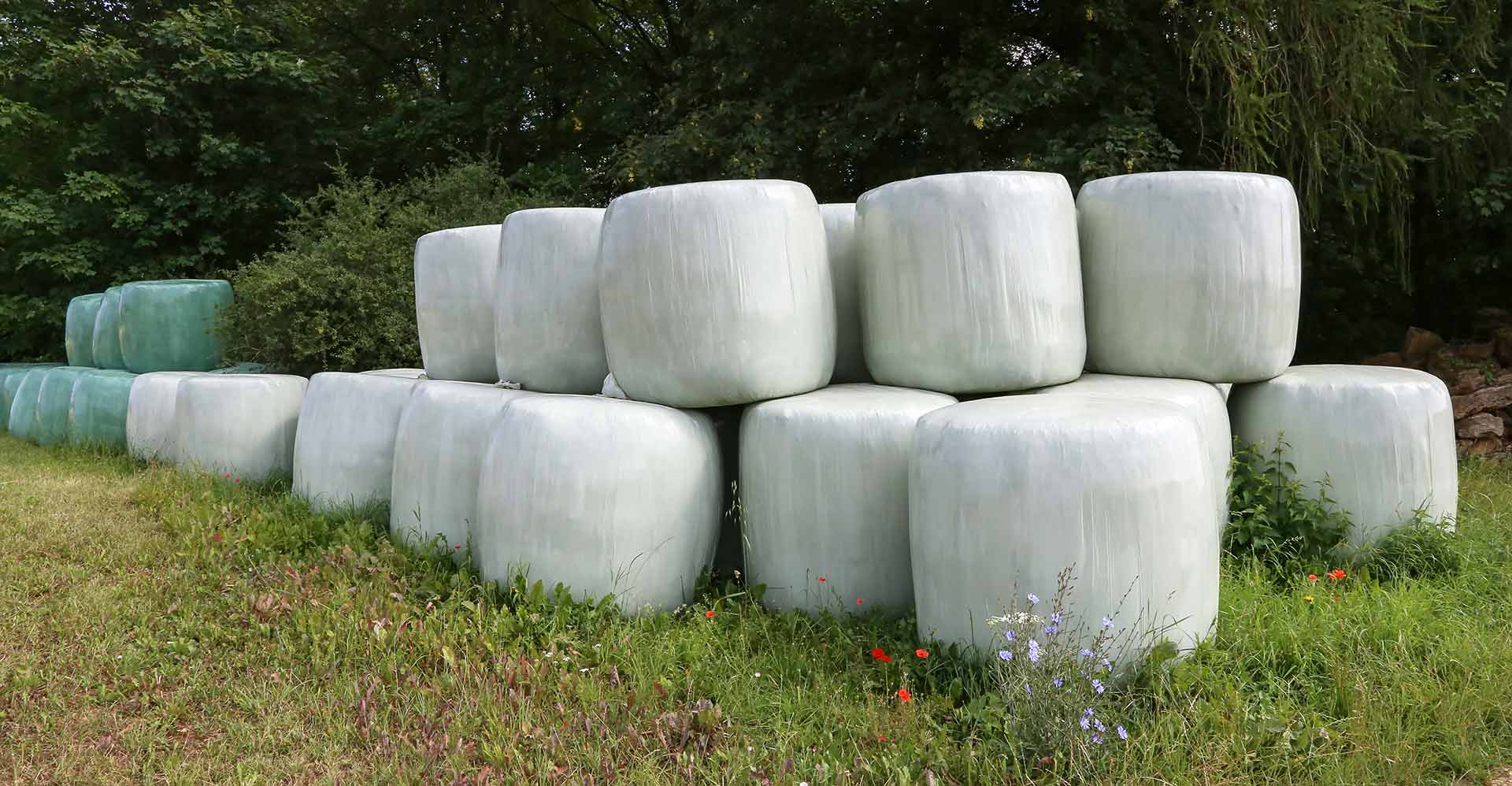 Agricultural Waste Management | Bin Collection | Mick George
